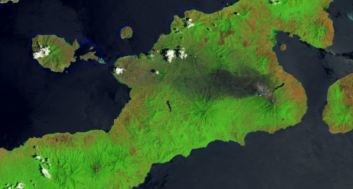 Bali flights halted amid Mt Lewotobi Laki-Laki ash cloud